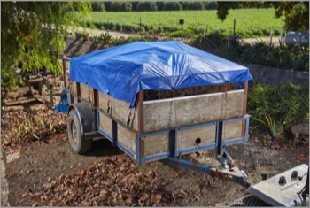 Lawn & Garden - Harbor Freight Tools